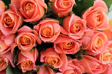 Boulevard Florist – OC Boulevard Florist