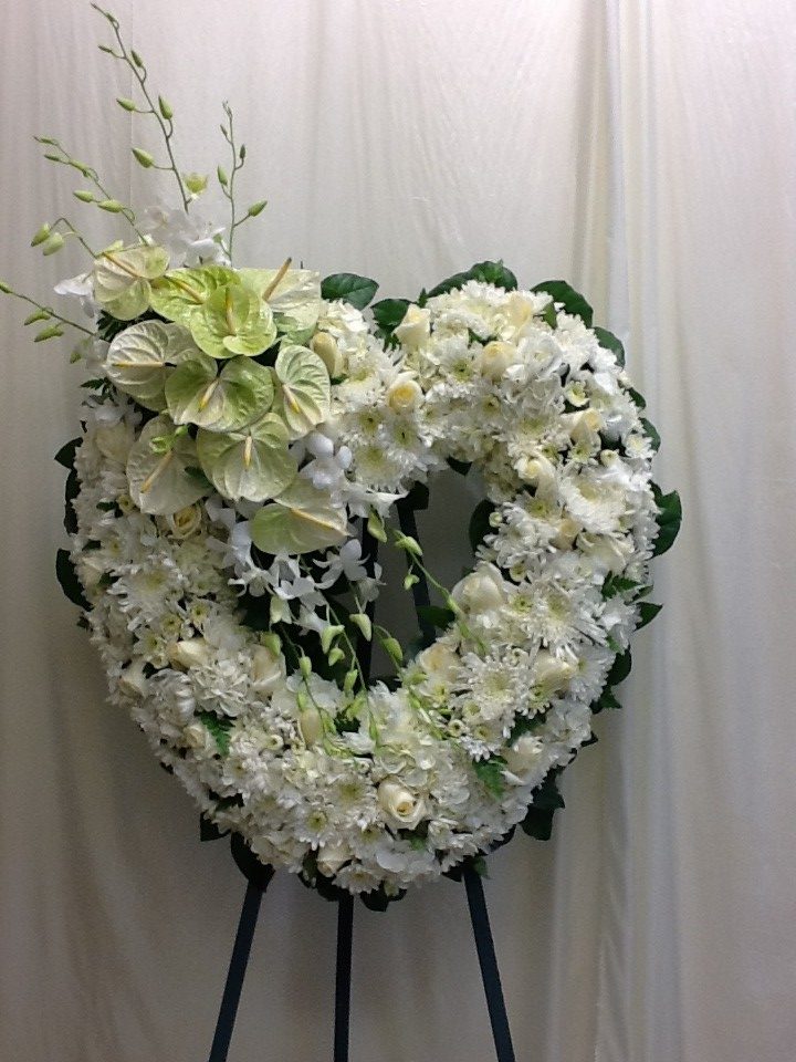 Plants – OC Boulevard Florist